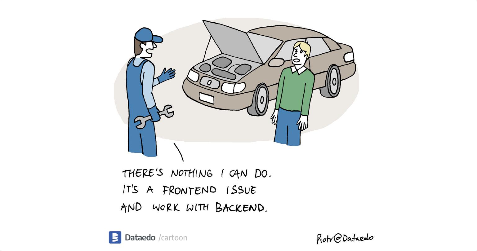 Backend Developer – Dataedo Data Cartoon