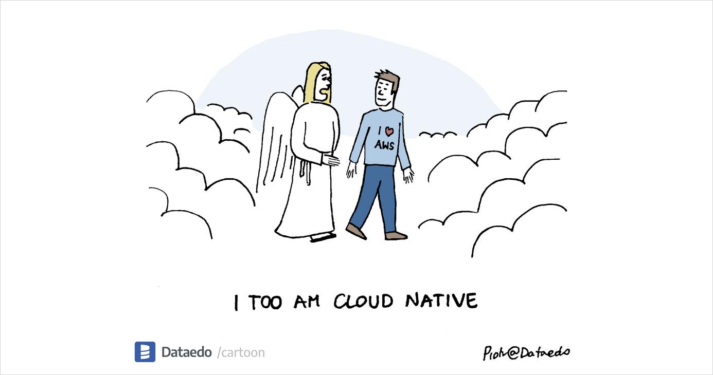 Cloud Native or Cloud Immigrant? – Dataedo Data Cartoon