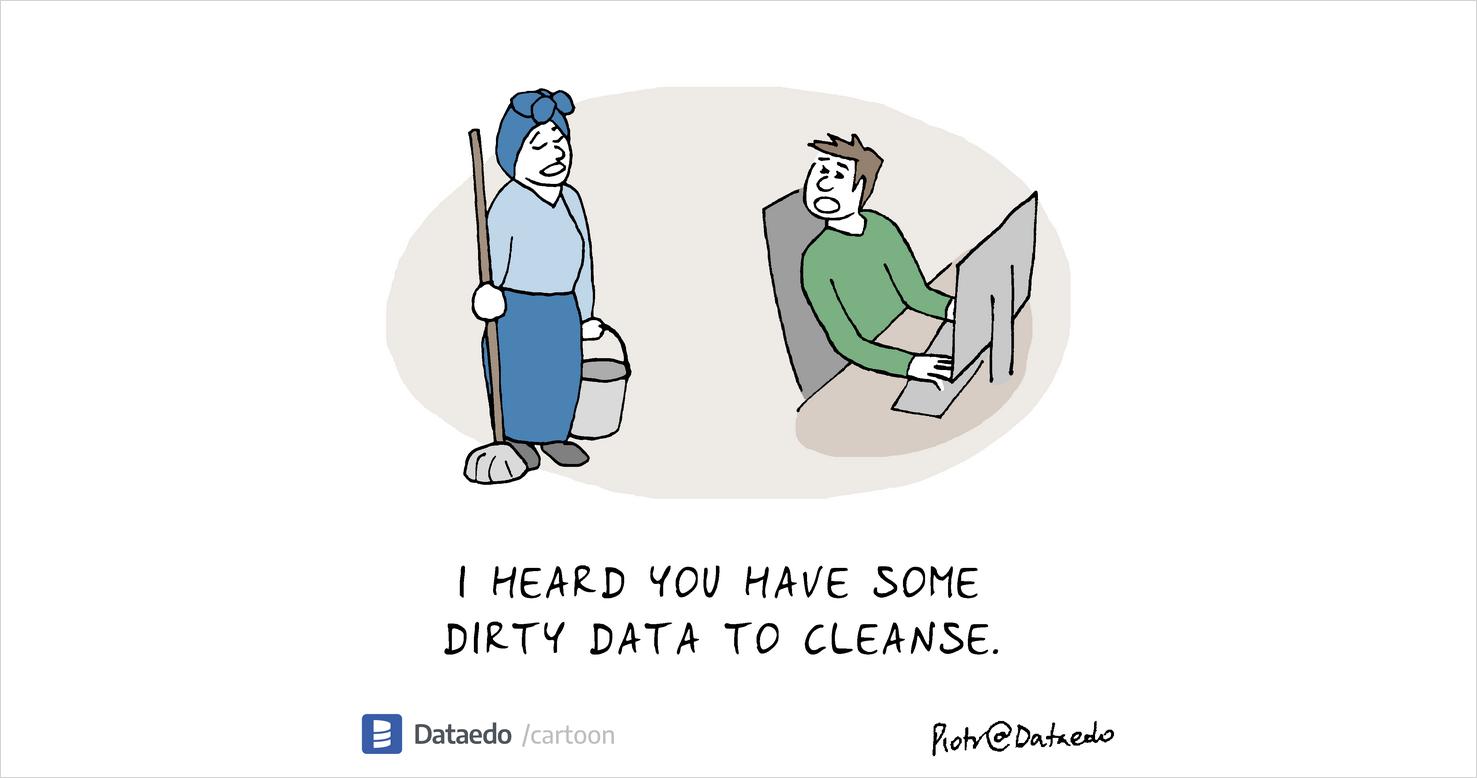 Data Cleansing – Dataedo Data Cartoon