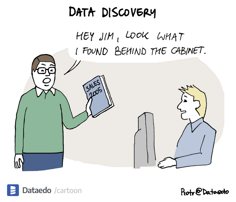 Data Discovery Visualized Dataedo Data Cartoon