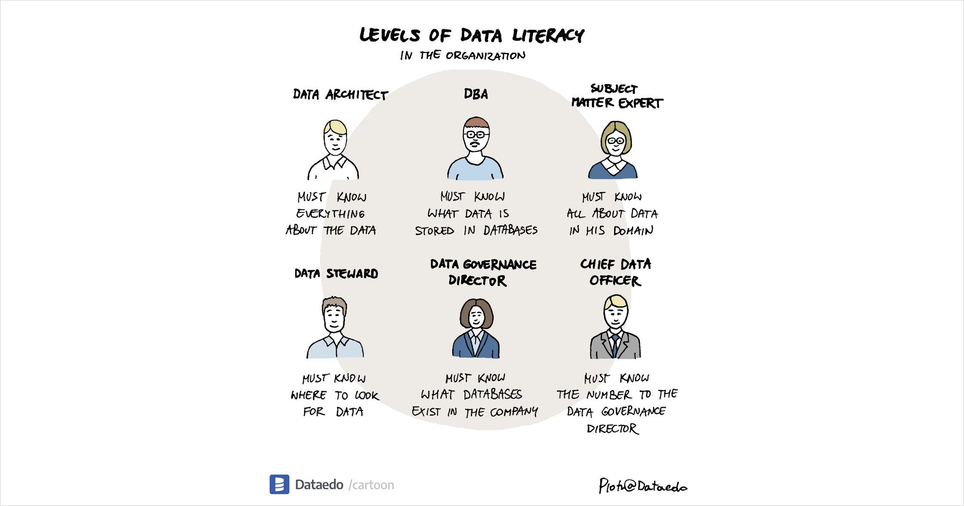 Levels of Data Literacy in Organization – Dataedo Data Cartoon