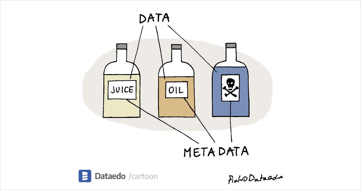 Data vs Metadata #4 – Dataedo Data Cartoon
