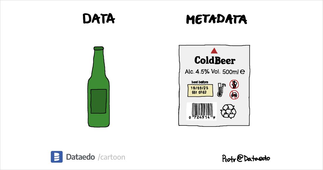 Data vs Metadata #8 – Dataedo Data Cartoon