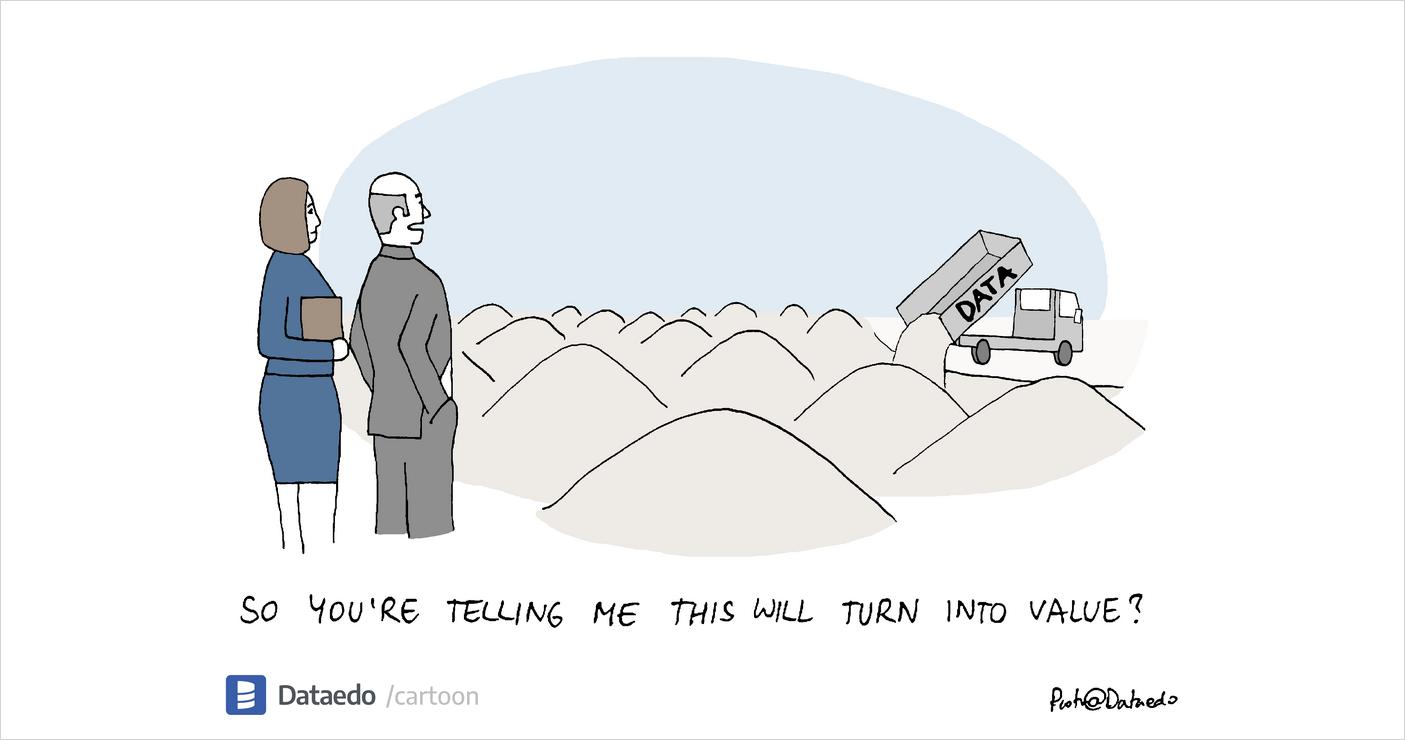 Data to Value – Dataedo Data Cartoon