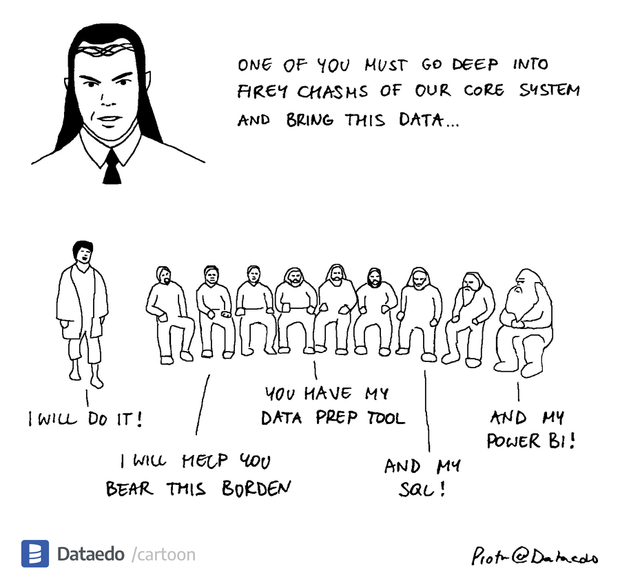 Dataedo Data Cartoon