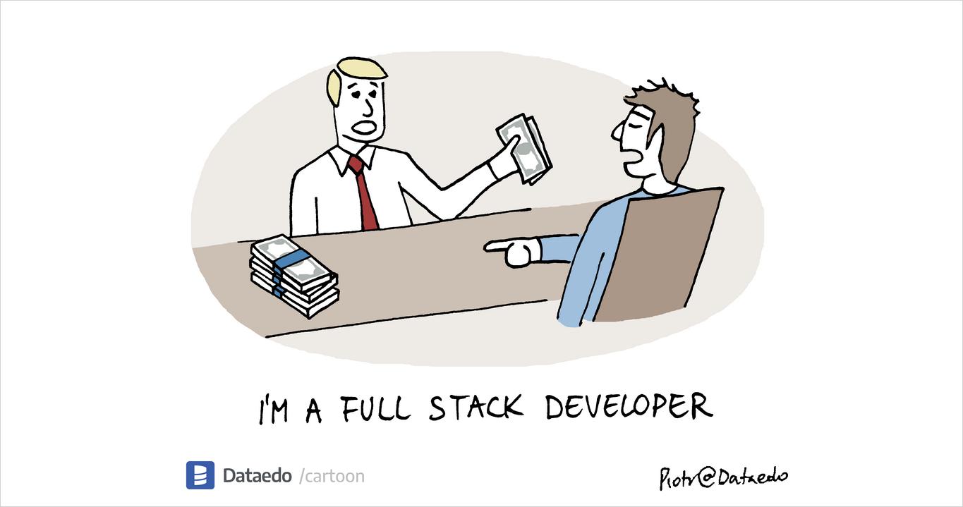 Full-stack Developer – Dataedo Data Cartoon