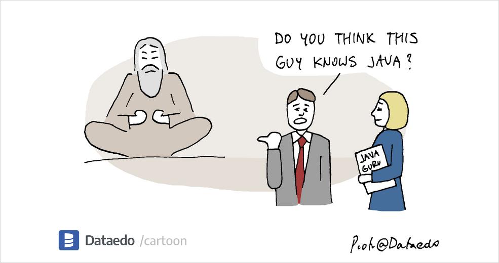 Java Guru – Dataedo Data Cartoon