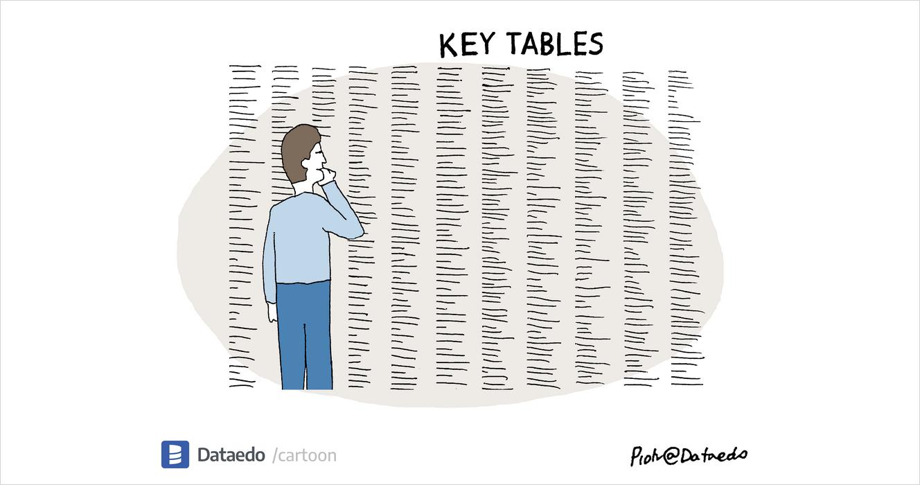 All you need to know are the few key tables – Dataedo Data Cartoon