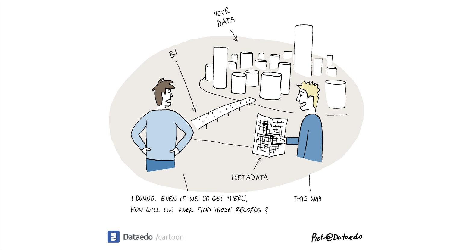 We have the data, now what? – Dataedo Data Cartoon