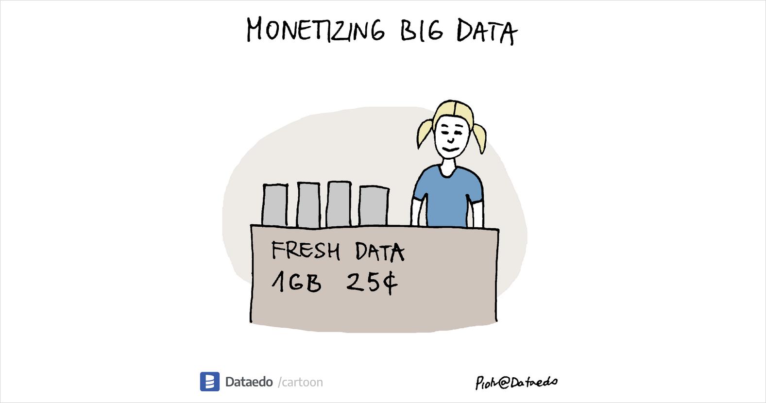 Big Data Monetization Strategy – Dataedo Data Cartoon
