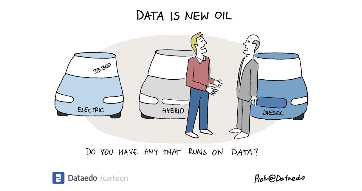 Forget EVs – Dataedo Data Cartoon