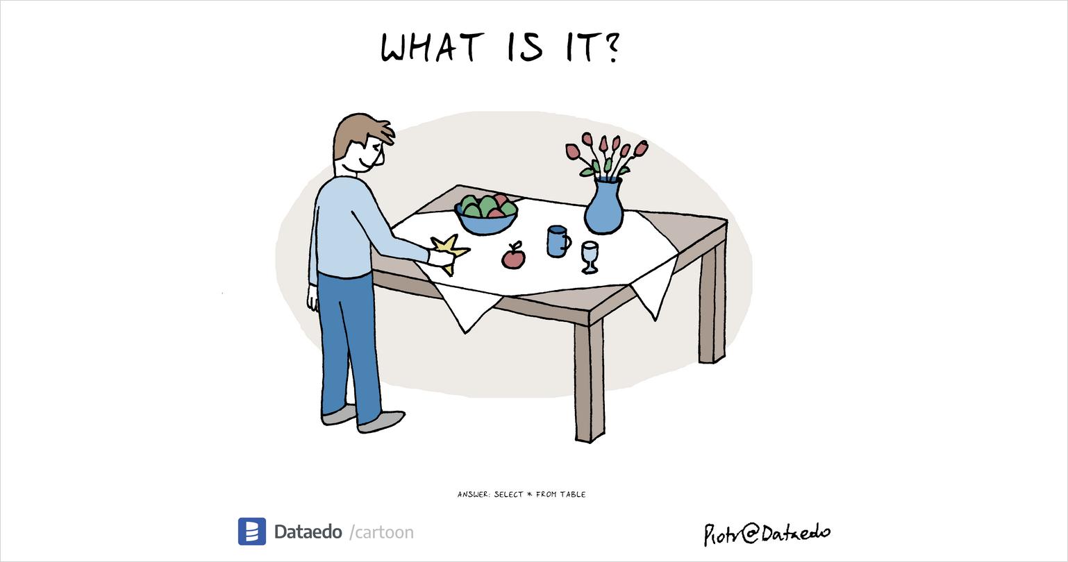 Select... – Dataedo Data Cartoon