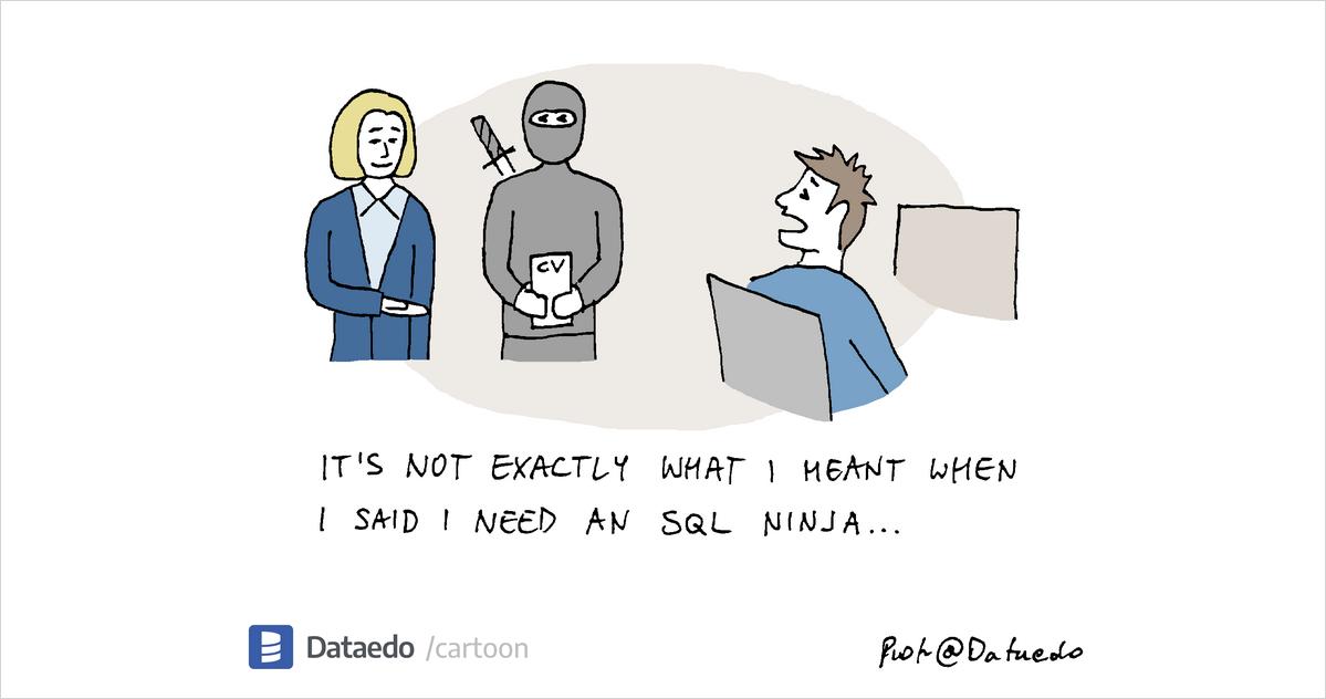 SQL Ninja – Dataedo Data Cartoon
