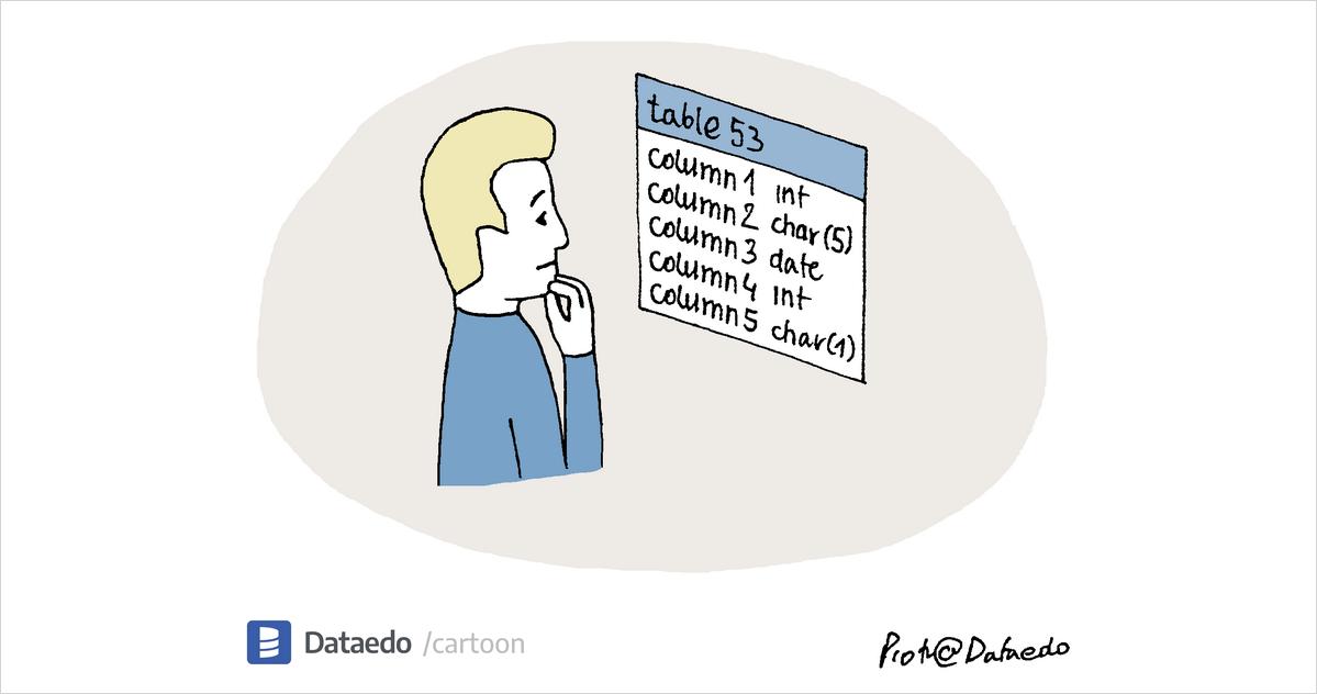 Table53 – Dataedo Data Cartoon