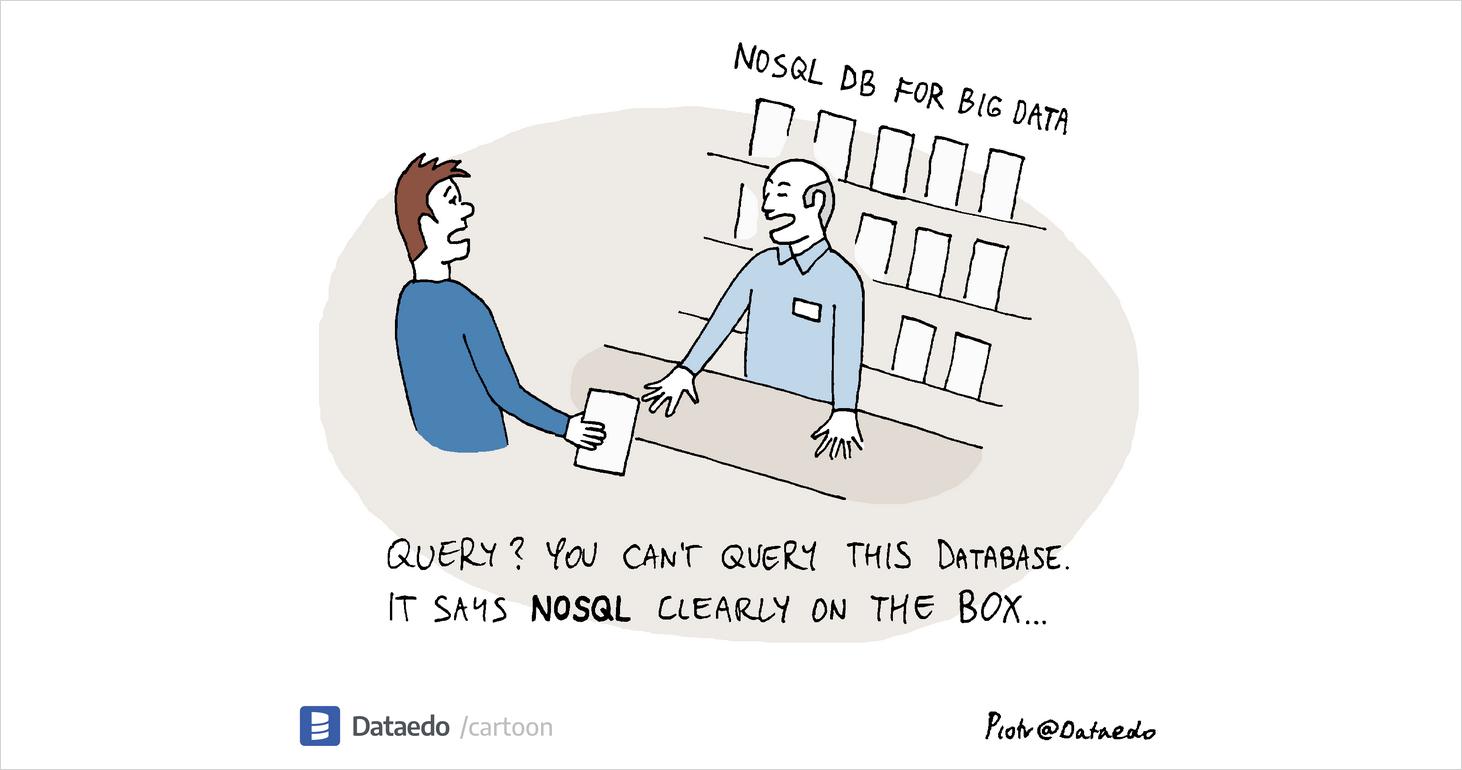 It is NoSQL – Dataedo Data Cartoon